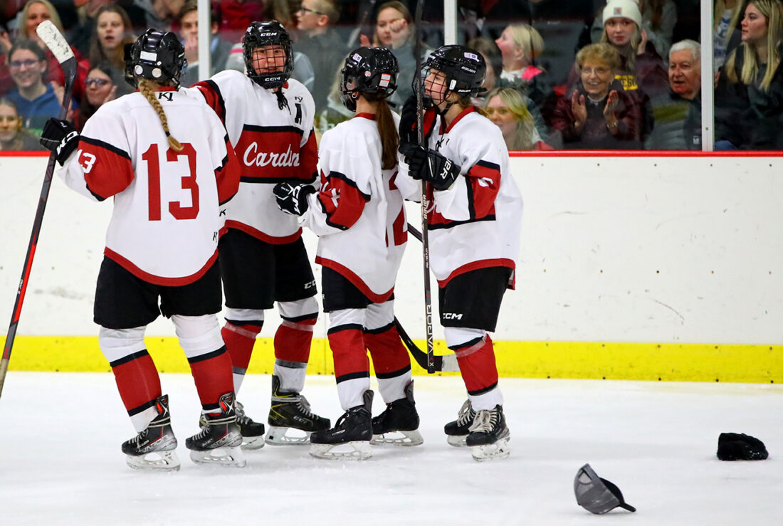Larson’s hat trick paces Cardinals’ 9-1 trouncing of Packers | News ...